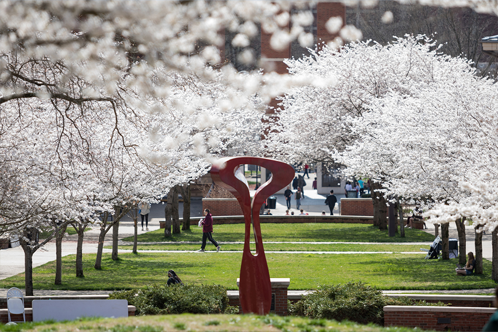 February 2025 Housing News | The WKU Parent & Family Portal