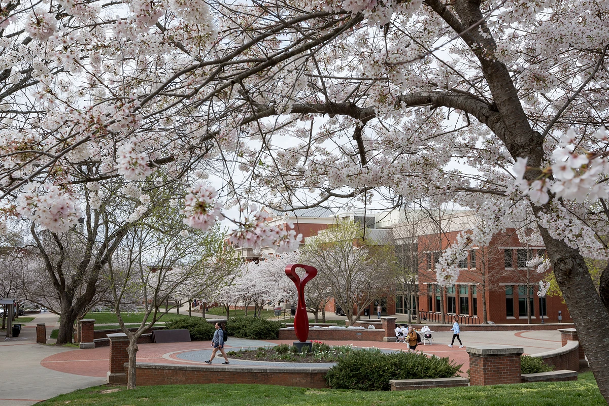 Spring Break 2025 | Residence Halls* | The WKU Parent & Family Portal
